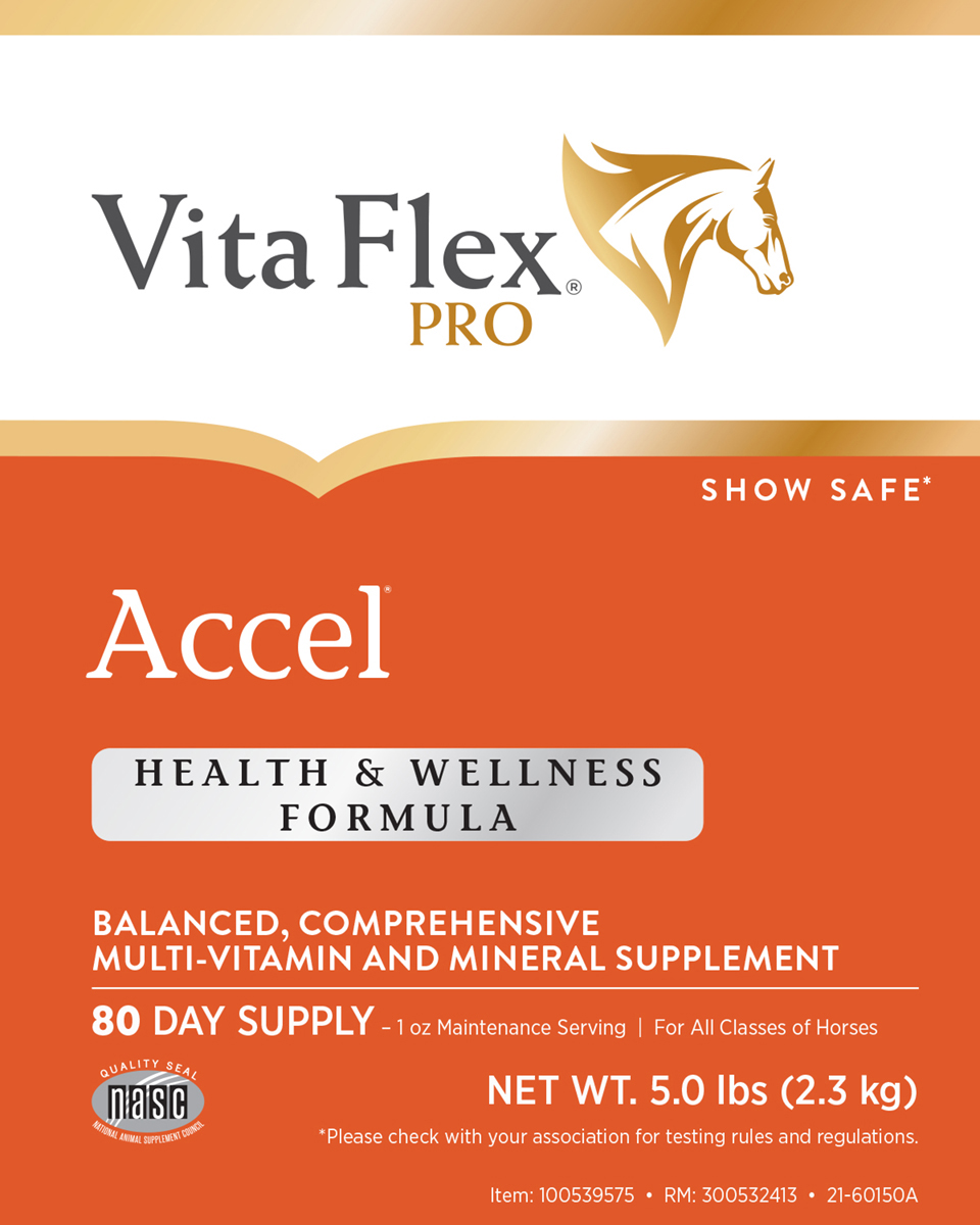 accel heal