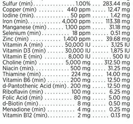 Vita Flex Pro Accel Lifetime Health and Wellness Formula